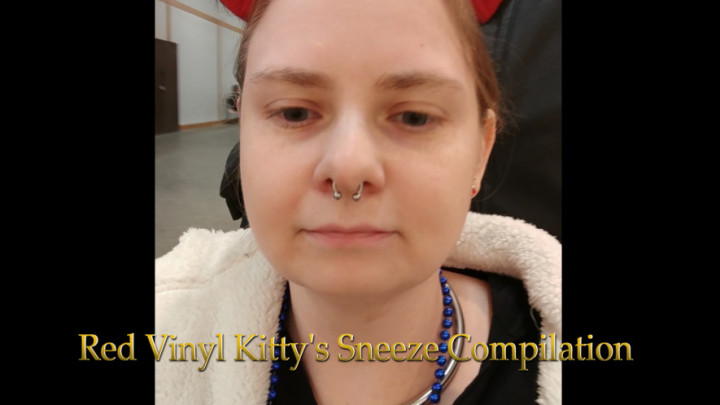 The Sub Mission 36 Sneeze Compilation Manyvids