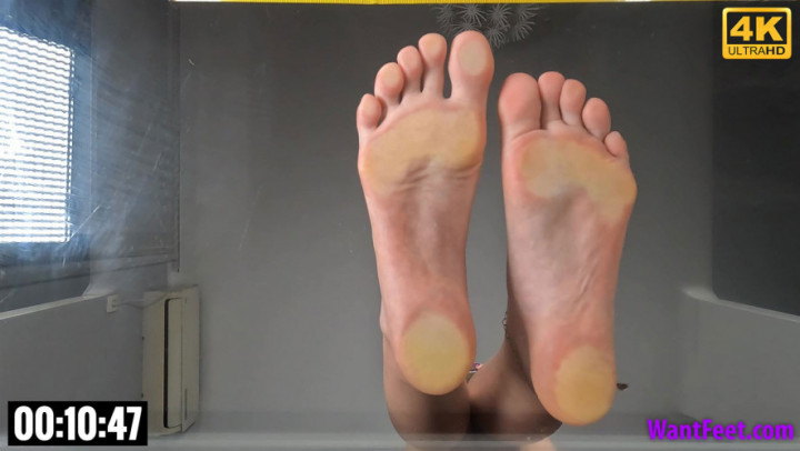 Wantfeet Tessa Soles On Glass 4k Manyvids