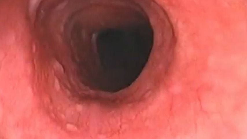 Mxdomincrushgoddess Giantess Swallows Tiny Pov Manyvids