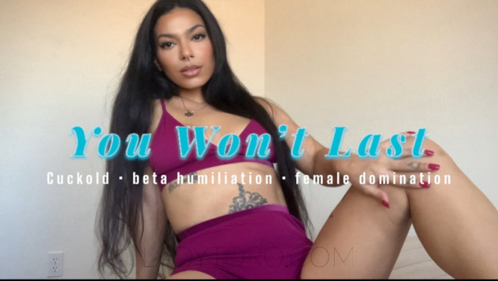 Ladytoro You Wont Last Manyvids